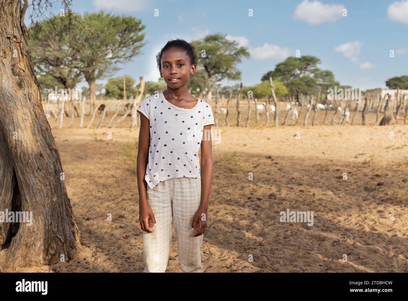 village , african girl at the farm, kraal with goats in the background ...