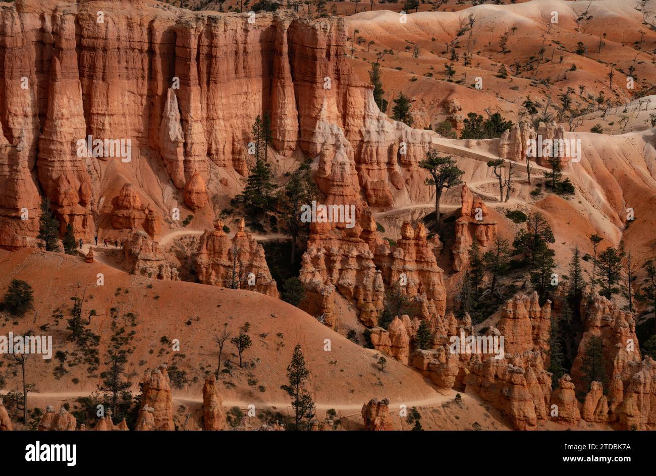 Bryce canyon hikes hi-res stock photography and images - Alamy