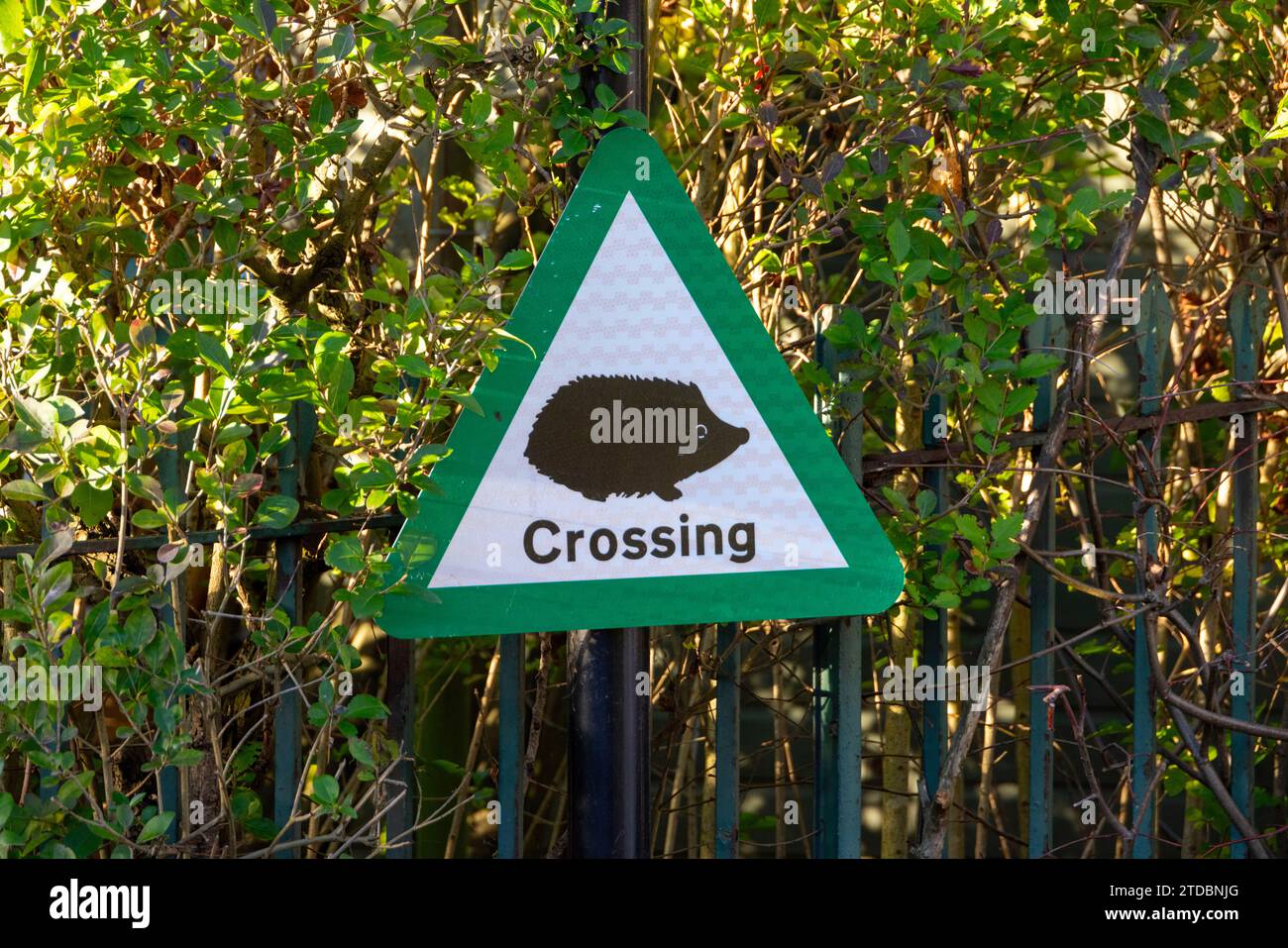 Hedgehog crossing sign hi-res stock photography and images - Alamy
