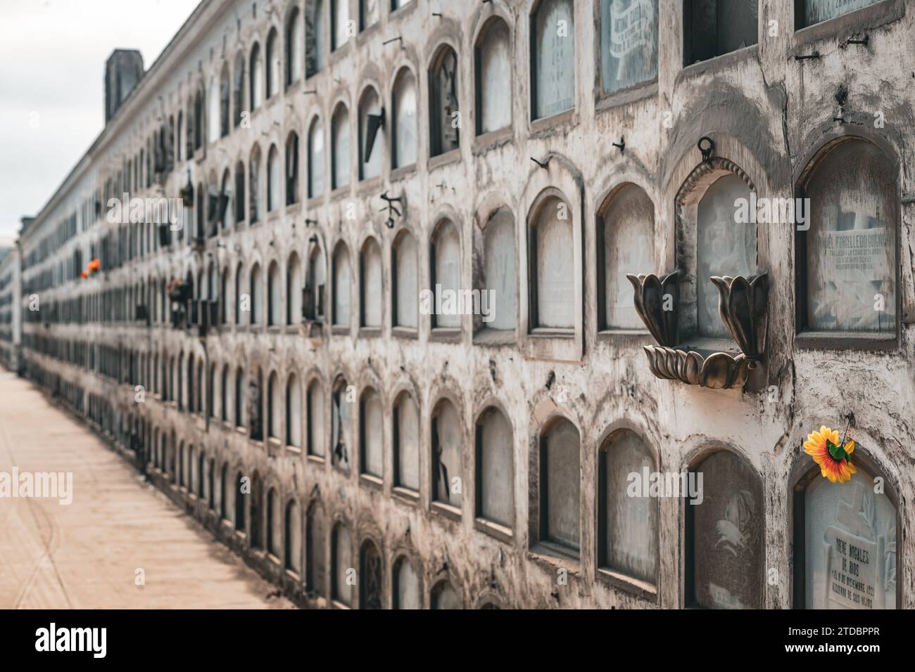 Maestro presbitero hi-res stock photography and images - Alamy