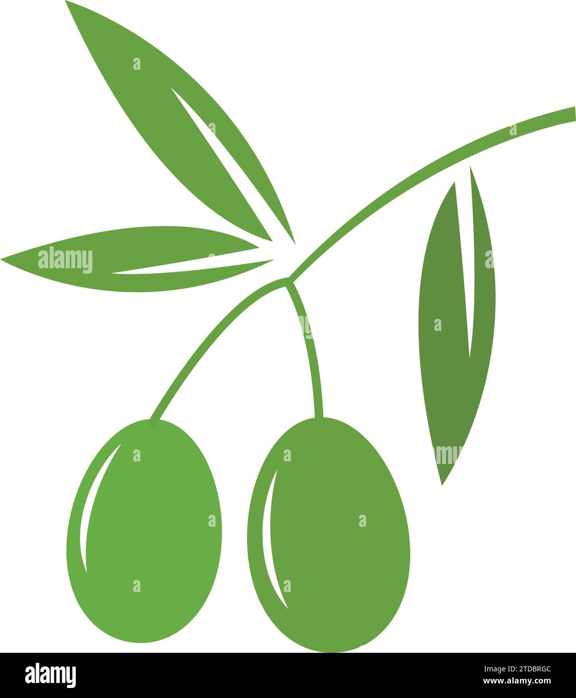olive logo template vector design Stock Vector Image & Art - Alamy