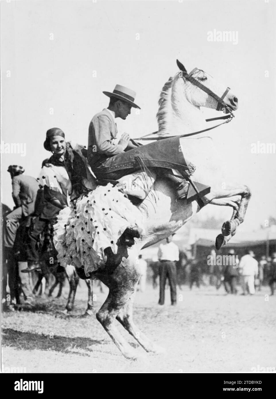 Horse rump hi-res stock photography and images - Alamy