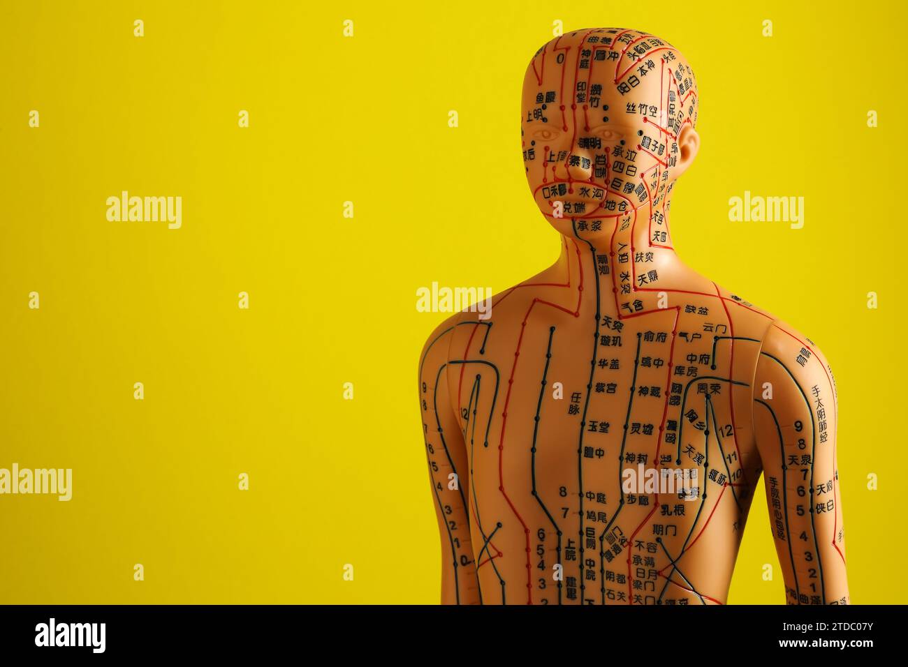 Acupuncture model. Mannequin with dots and lines on yellow background ...
