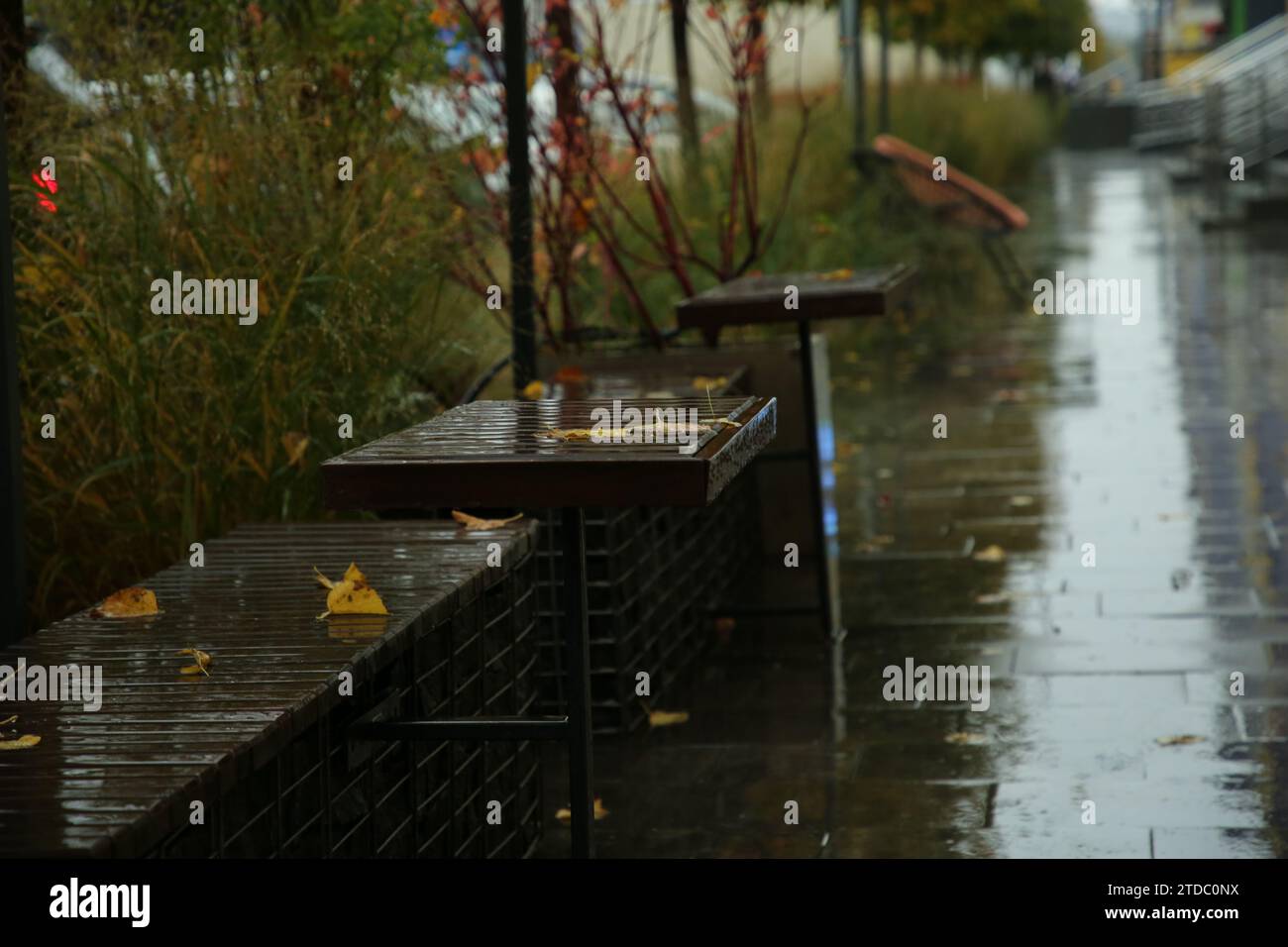 Wet tables hi-res stock photography and images - Alamy