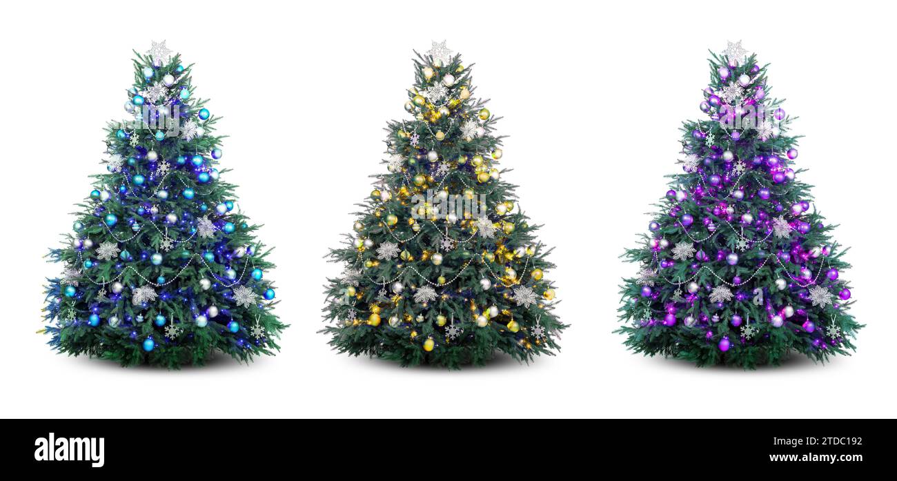 Christmas trees decorated in different colors isolated on white ...