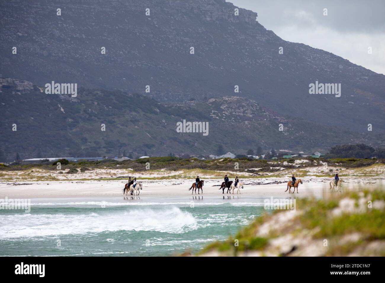 Noordhoek, Western Cape, South Africa - Sept. 23, 2023: Horse riders ...