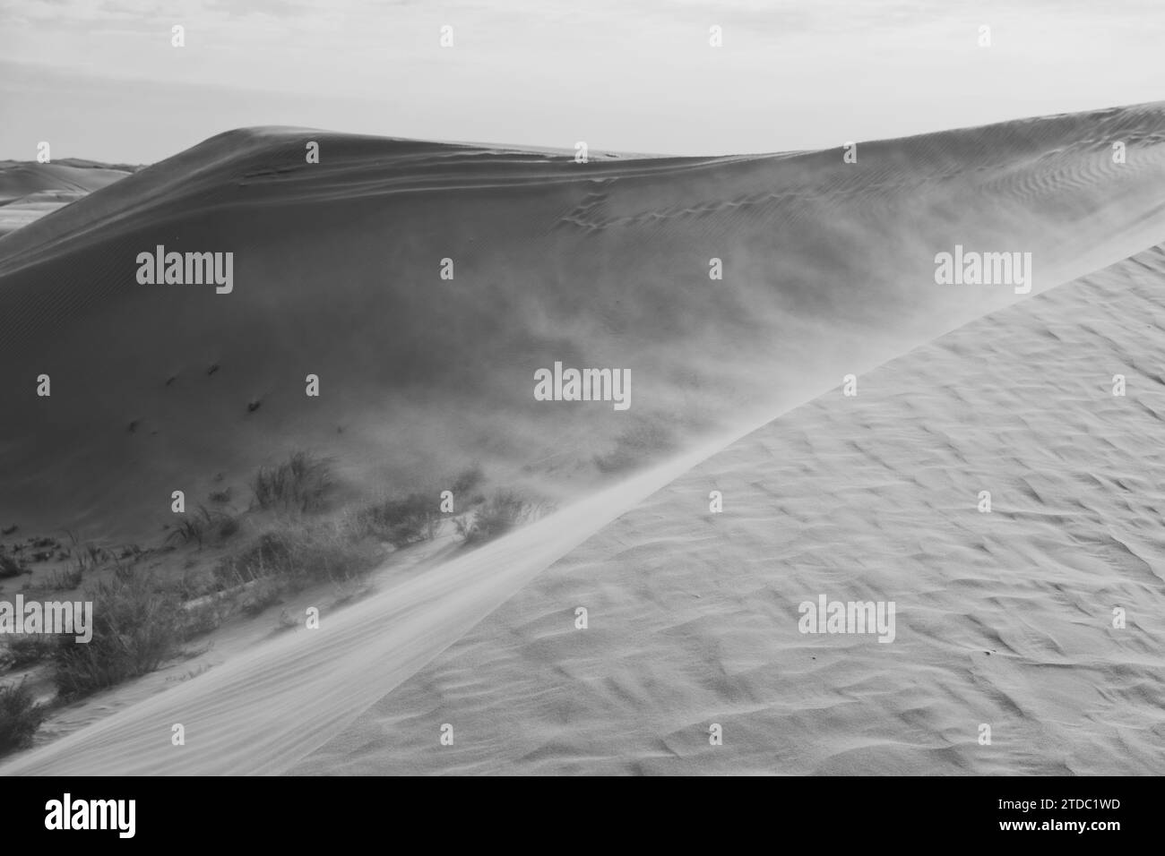 Tengger desert scenery, Inner Mongolia, China. The windy weather with ...