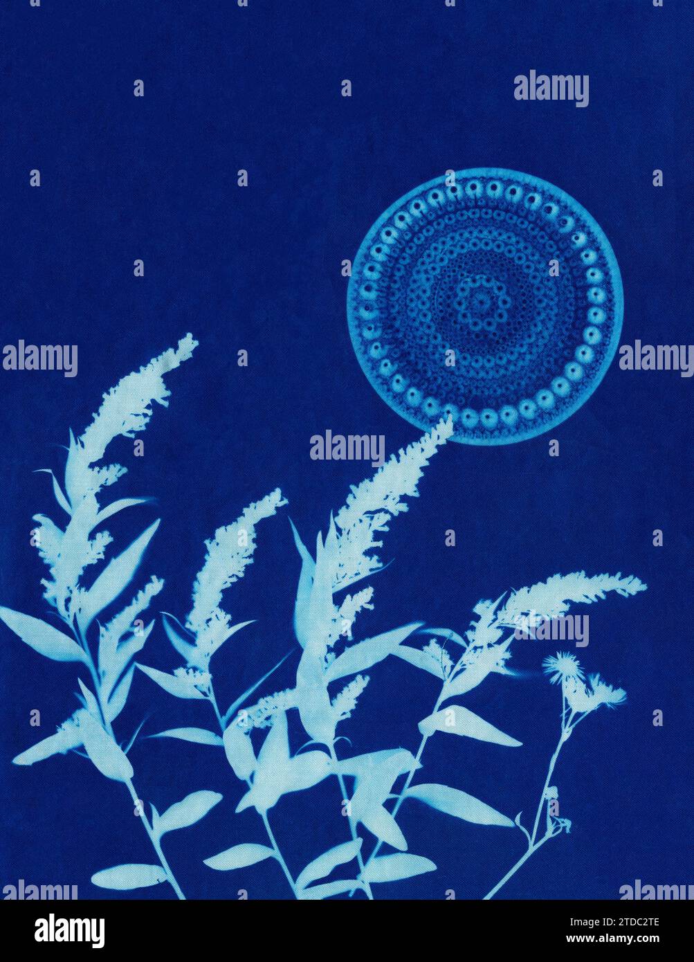 Cyanotype of the moon hi-res stock photography and images - Alamy