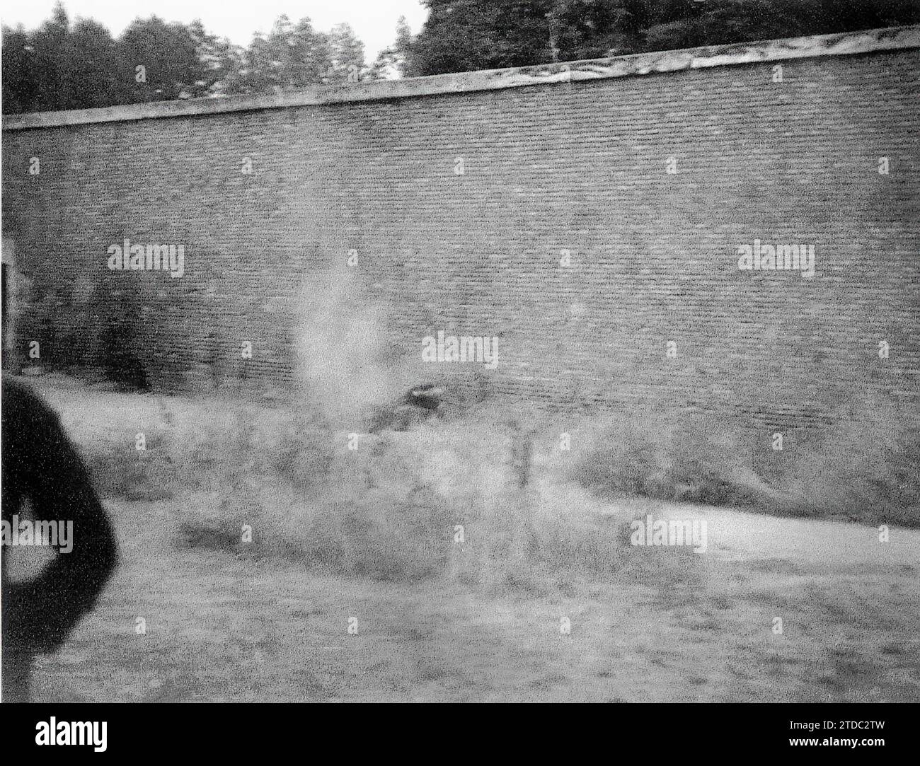 Sequence of the war council and subsequent execution (in Unpublished ...