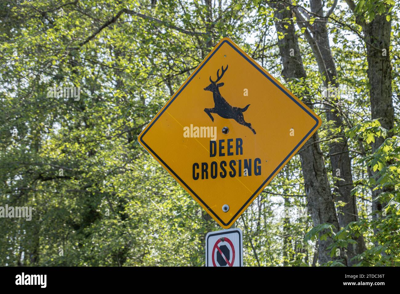 Diamond crossing hi-res stock photography and images - Alamy