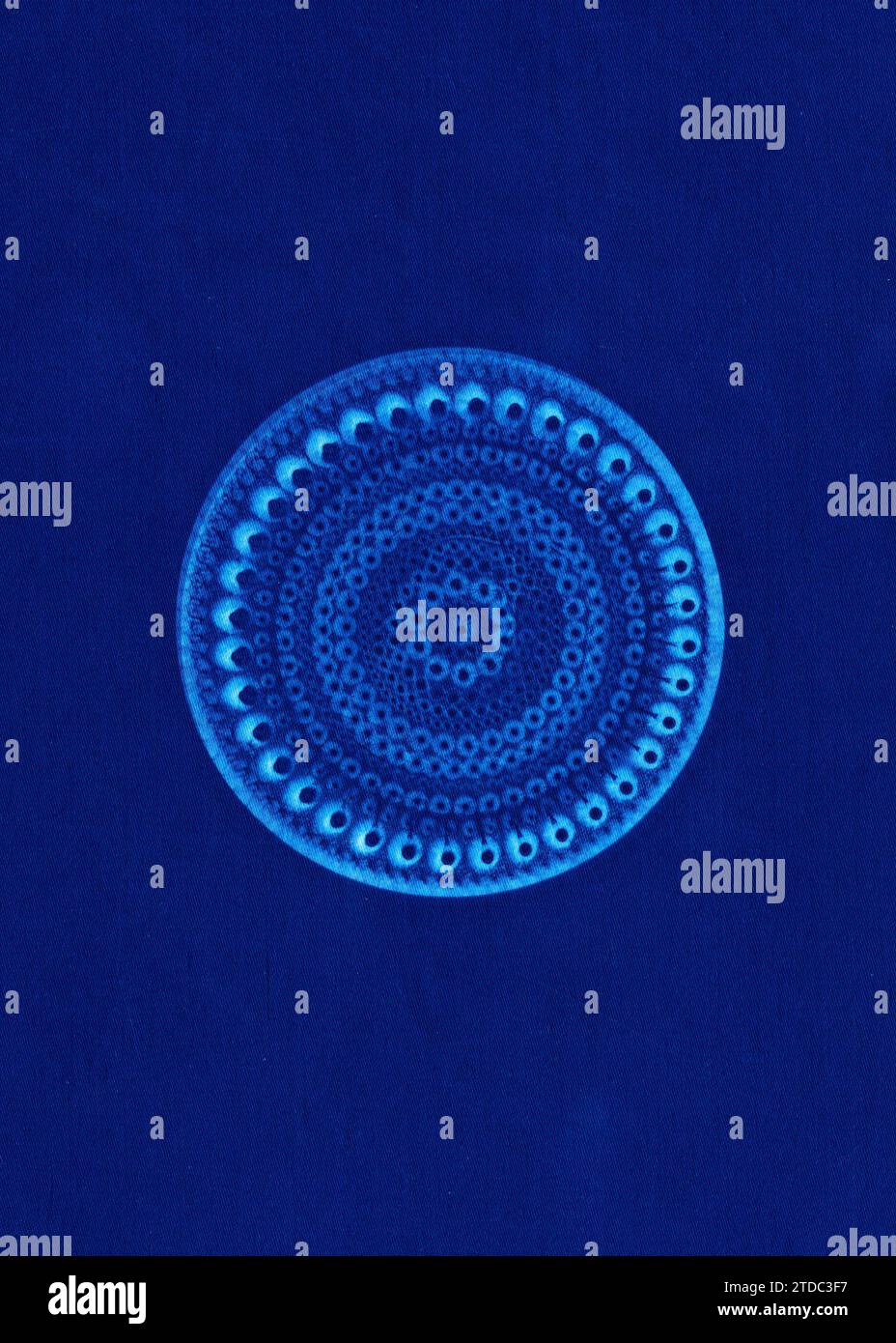 Hobnail hi-res stock photography and images - Alamy