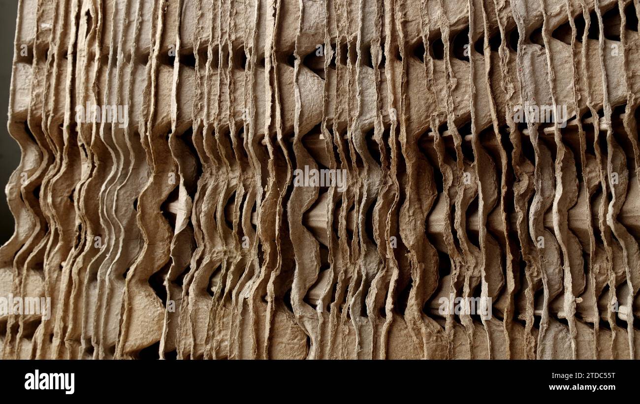 Paper egg cartons are made from molded pulp which is a mix of recycled ...