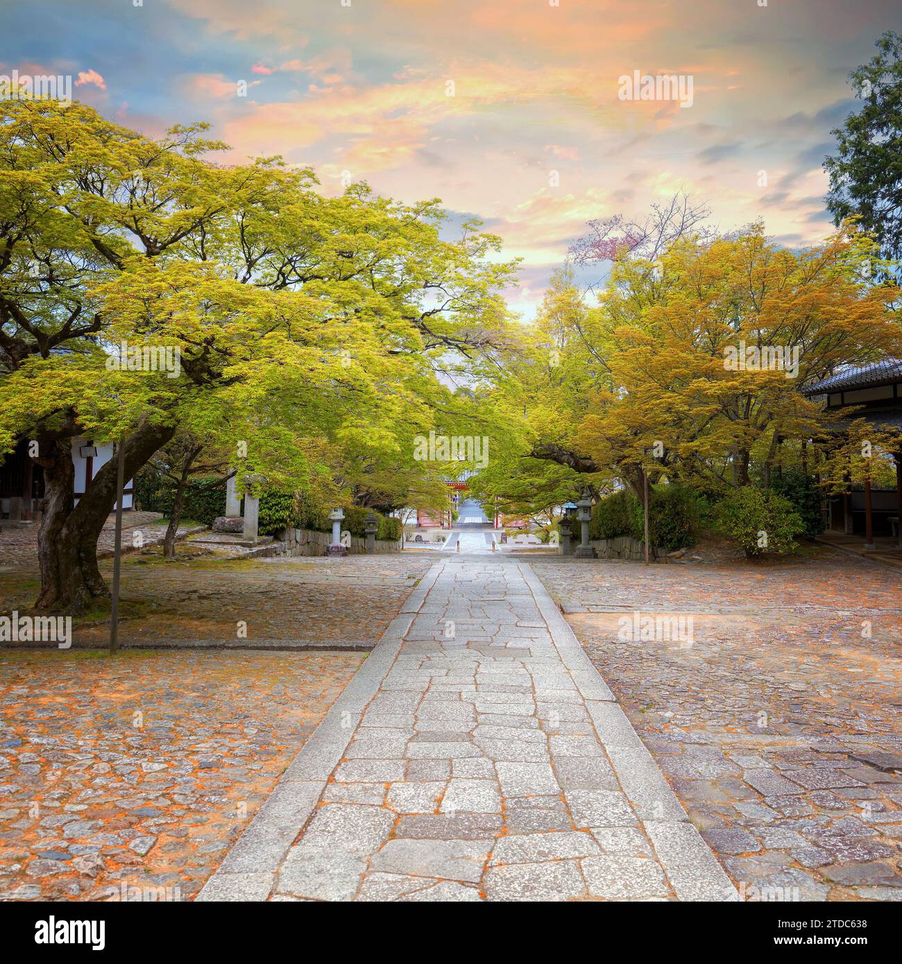 Kyoto, Japan - April 5 2023: Shinnyodo or Shinshogokurakuji temple ...