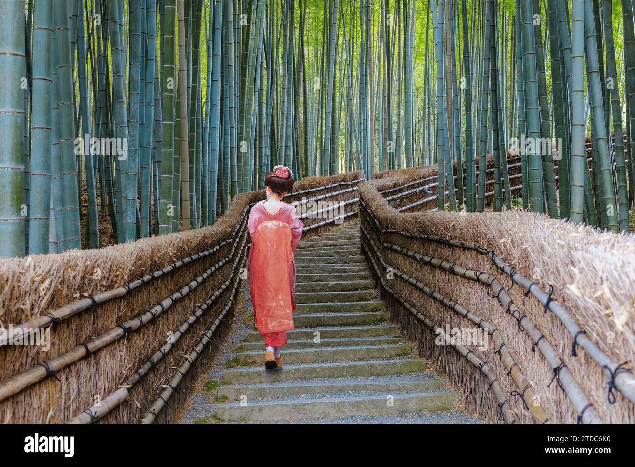 A Bamboo Grove at Adashino Nenbutsuji Temple in Kyoto, Japan Stock ...