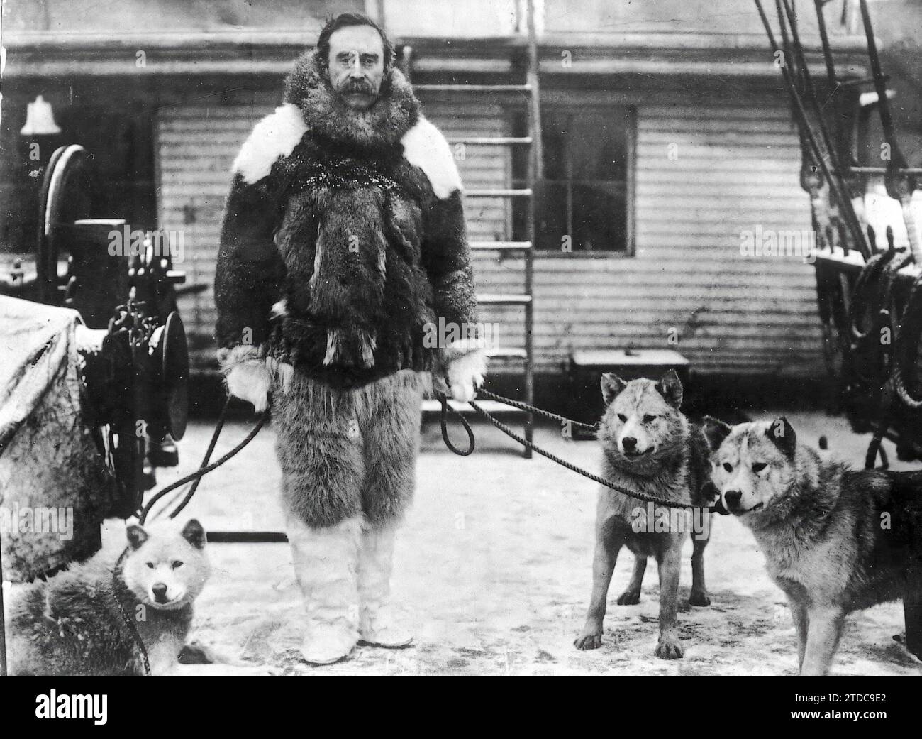 1909. The explorer Mr. Peary aboard his ship, with the dogs and the ...