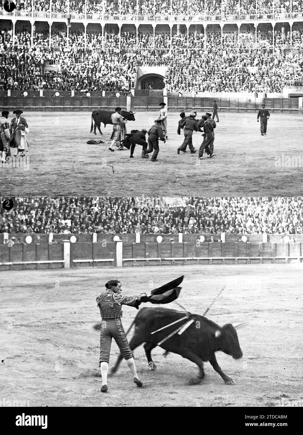 Miguel gallardo hi-res stock photography and images - Alamy