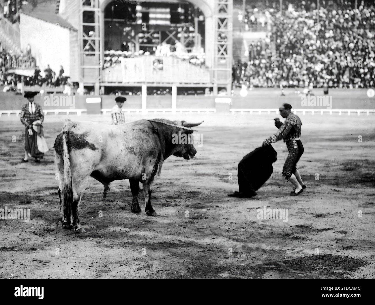 03/01/1913. The Magdalena bullfight in Castellón. Rooster Entering To ...