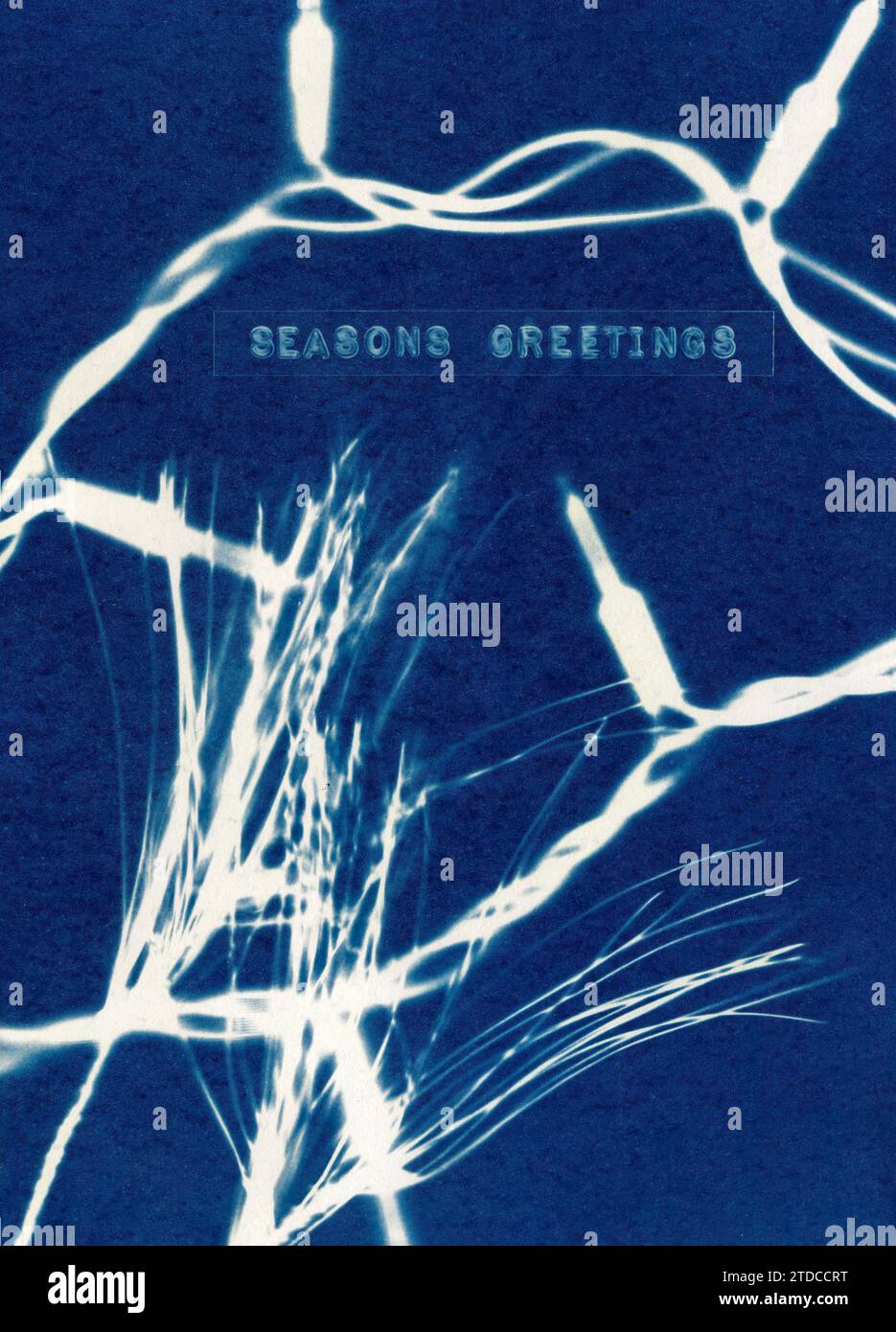 Cyanotypes hi-res stock photography and images - Alamy