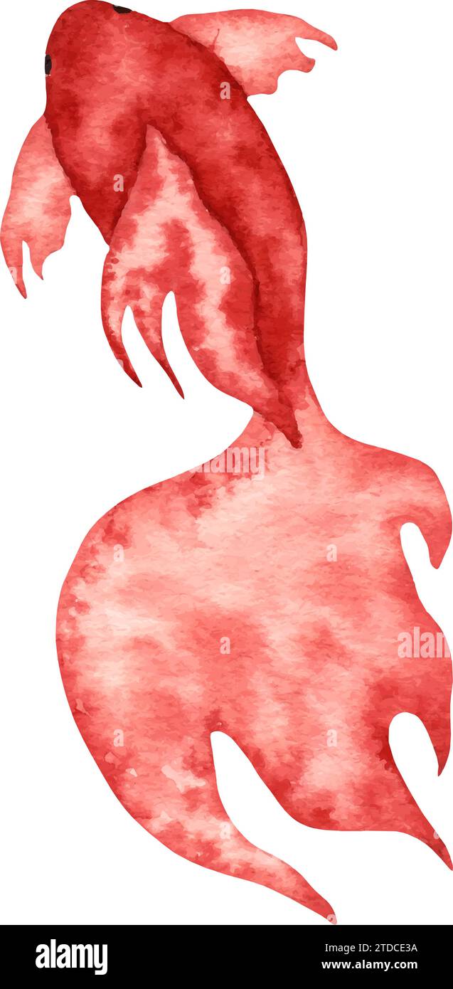 Watercolor koi fish in red color.Underwater world with sea animals ...