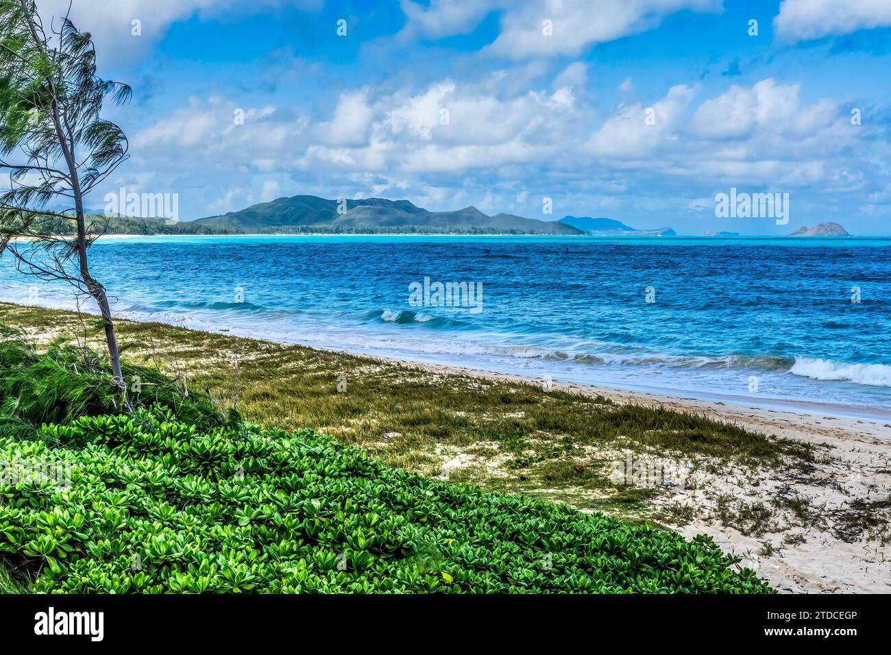 Colorful Kailua Beach Park Shore Windward Side Oahu Hawaii Stock Photo ...