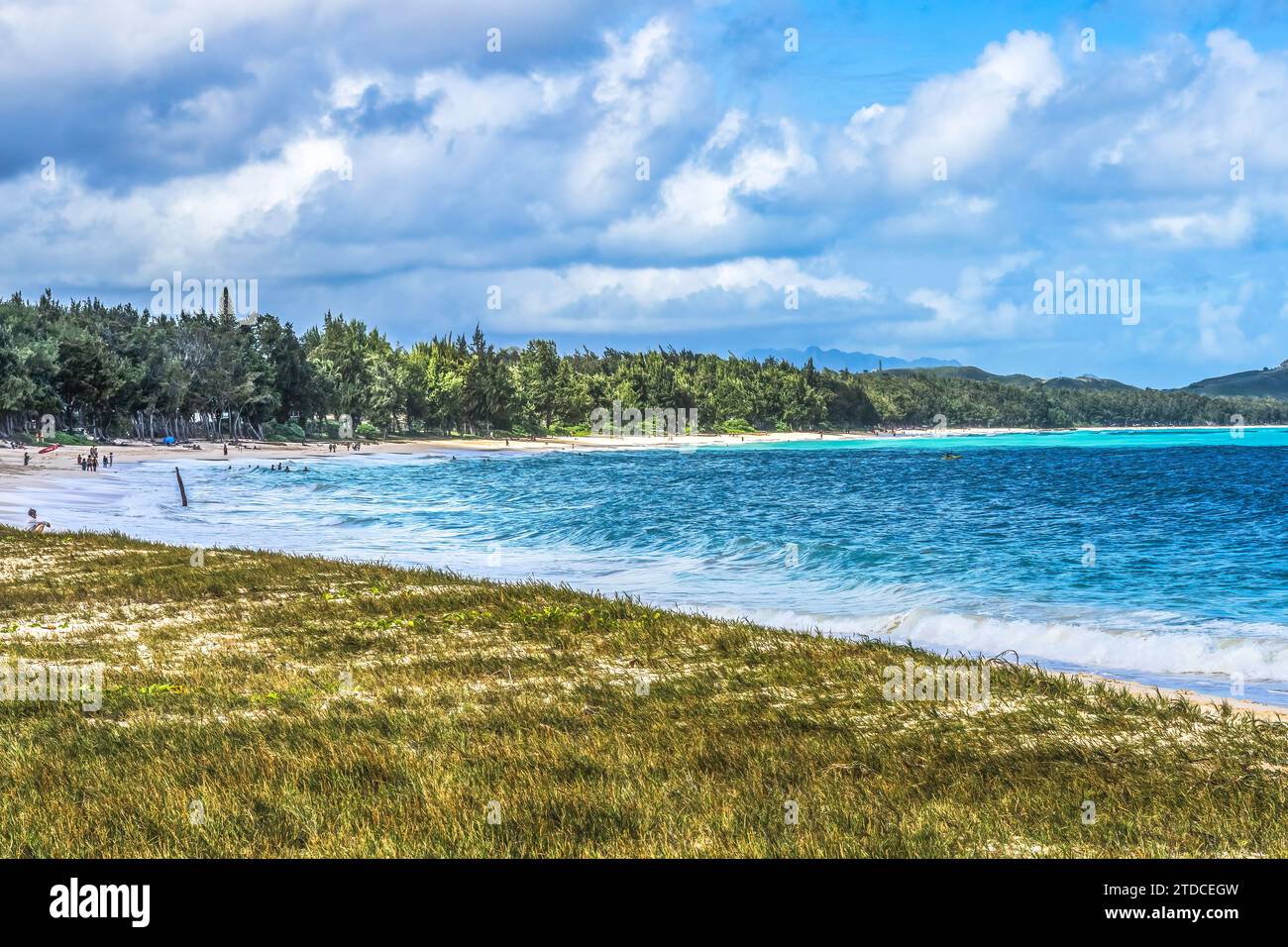 Colorful Swimmers Surfers Kailua Beach Park Shore Windward Side Oahu ...