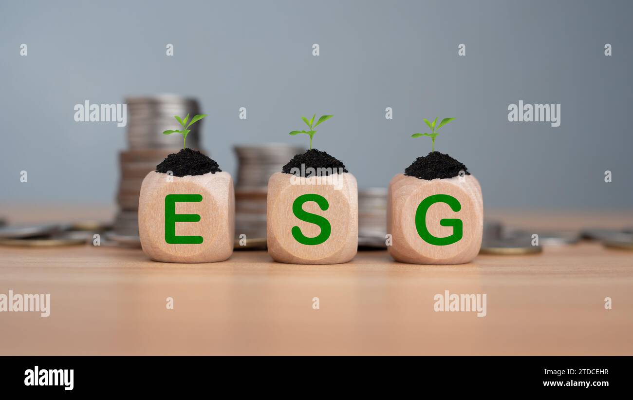 ESG concept of environmental, social and governance, wood block and ESG ...
