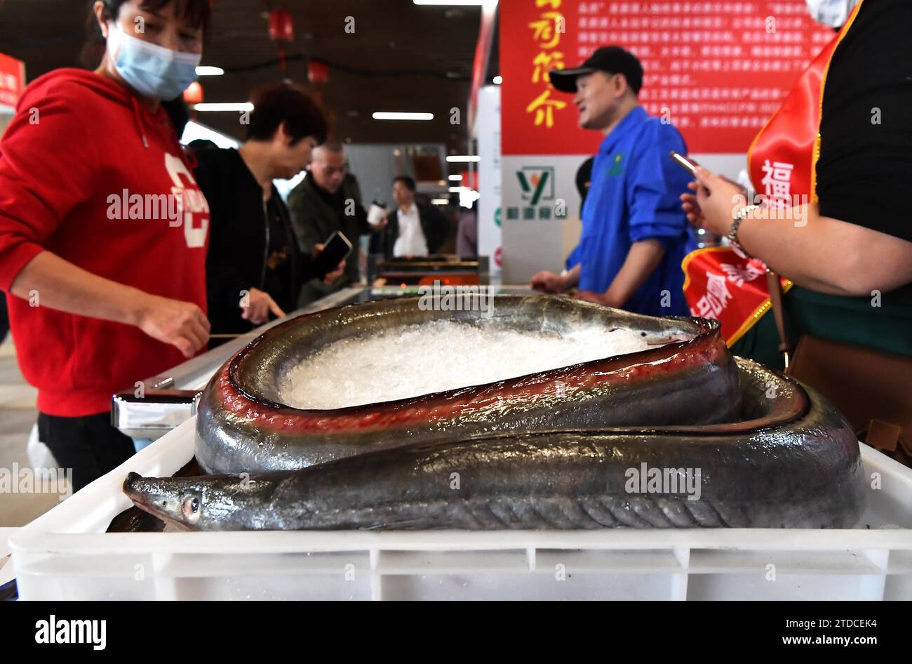 **CHINESE MAINLAND, HONG KONG, MACAU AND TAIWAN OUT** The First Fujian ...