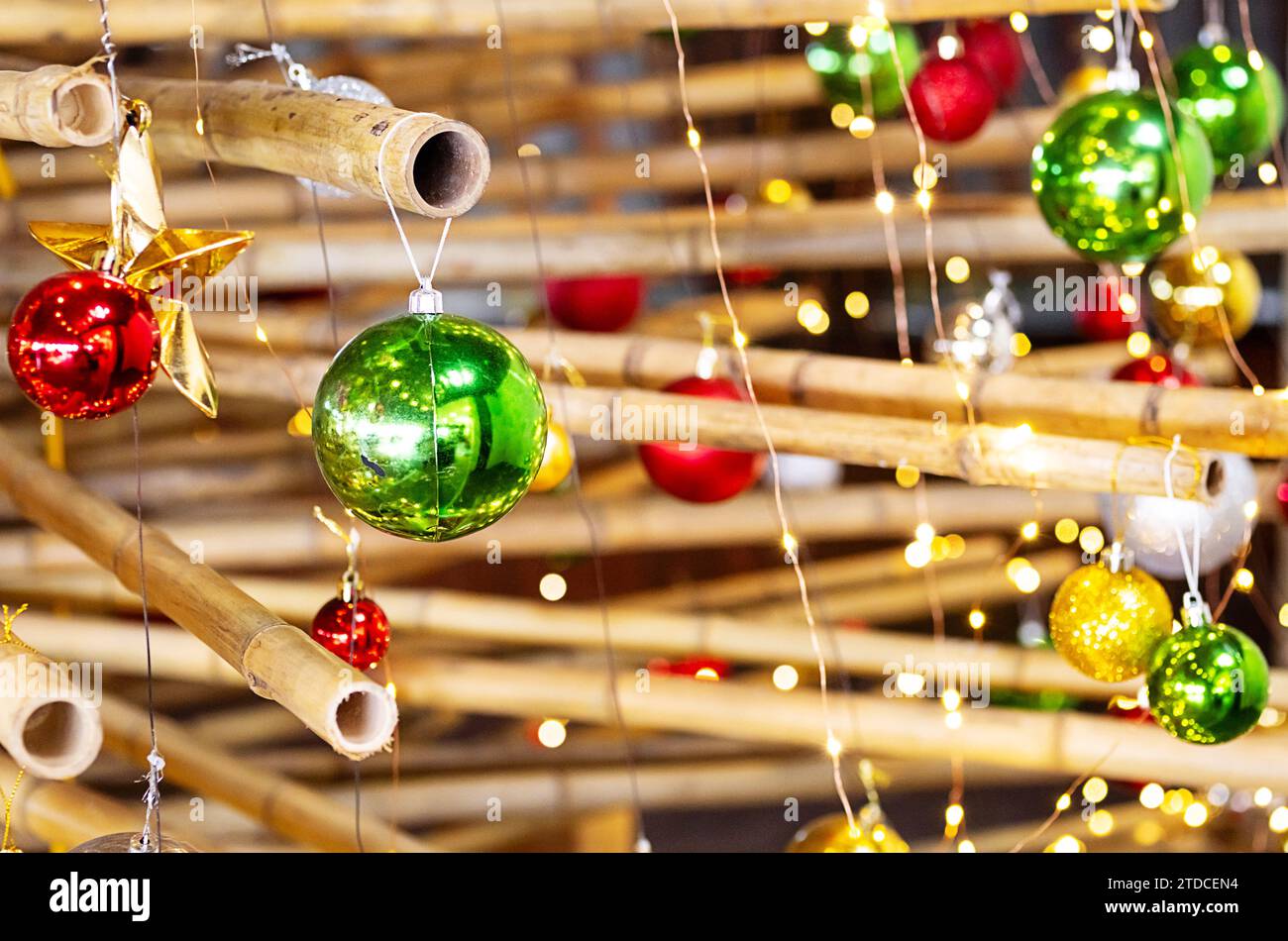 Bamboo Christmas tree. Zero waste Christmas concept Stock Photo - Alamy