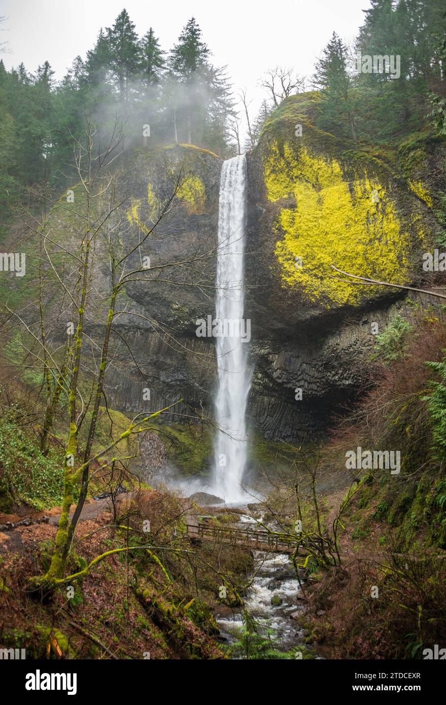 The Latourell Falls along the Columbia River Gorge, Oregon Stock Photo ...