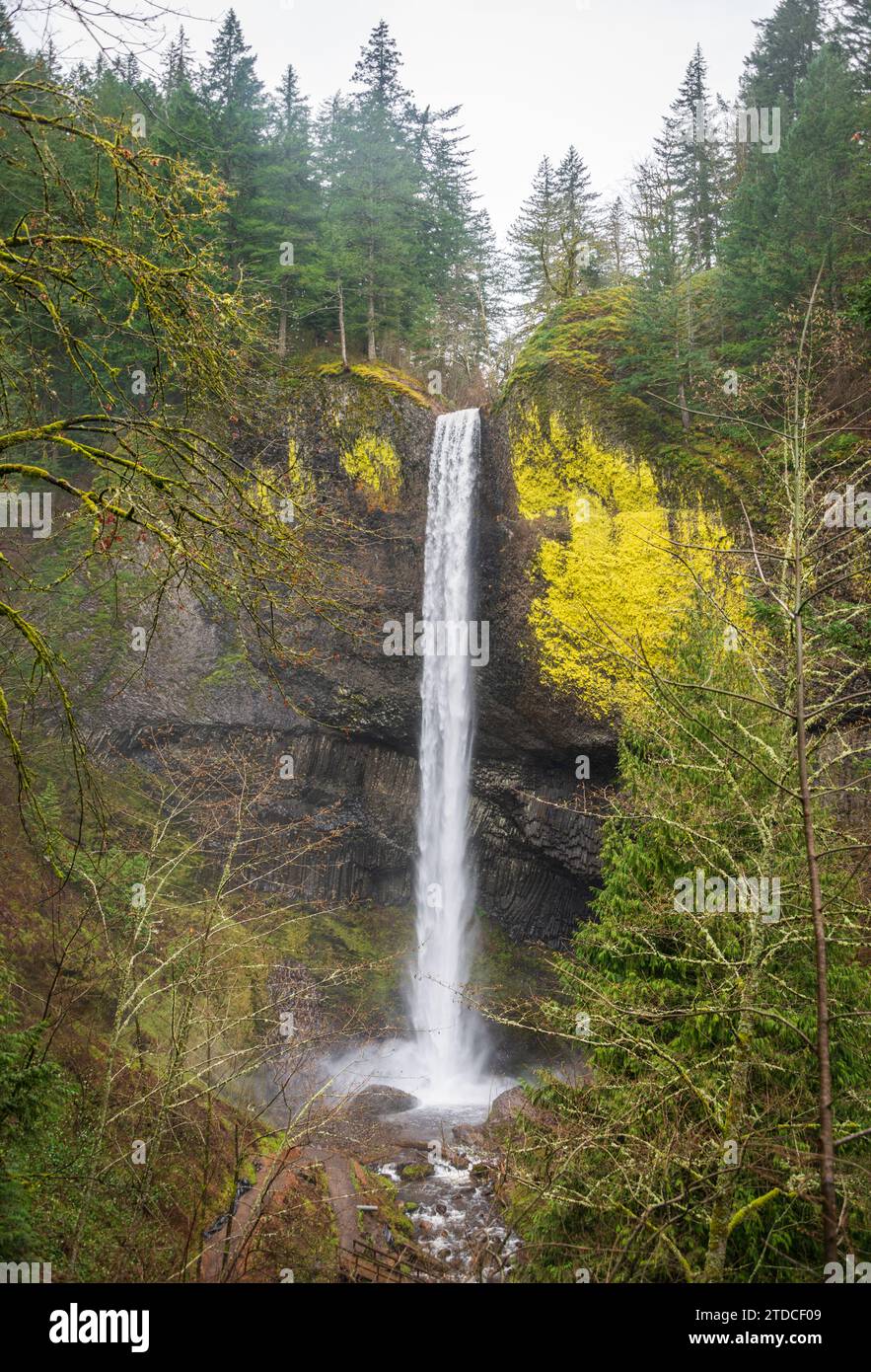 The Latourell Falls along the Columbia River Gorge, Oregon Stock Photo ...