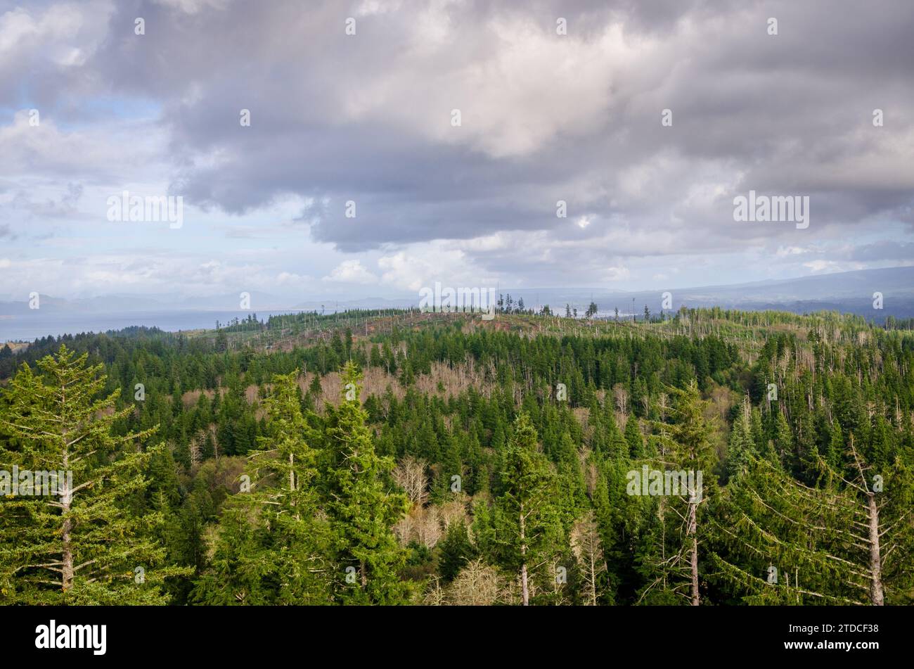 An Overlook of The City of Astoria in Oregon on the Columbia River ...