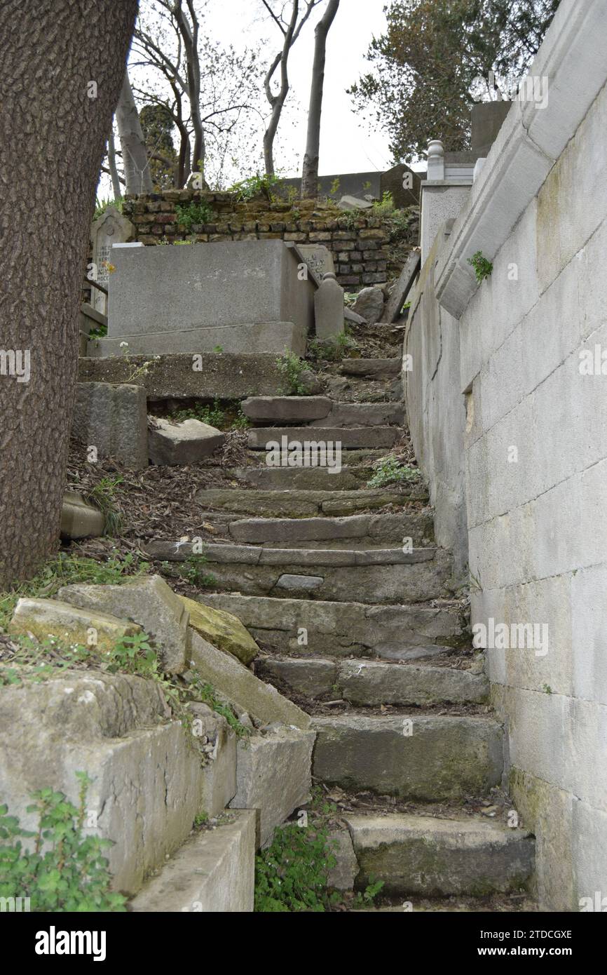 Stone staircase in the cemetery Stock Photo - Alamy