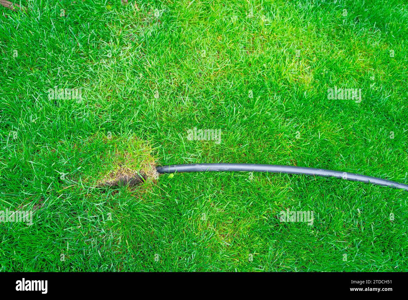 A black suspicious pipe enters the soil under the green grass. Disposal ...