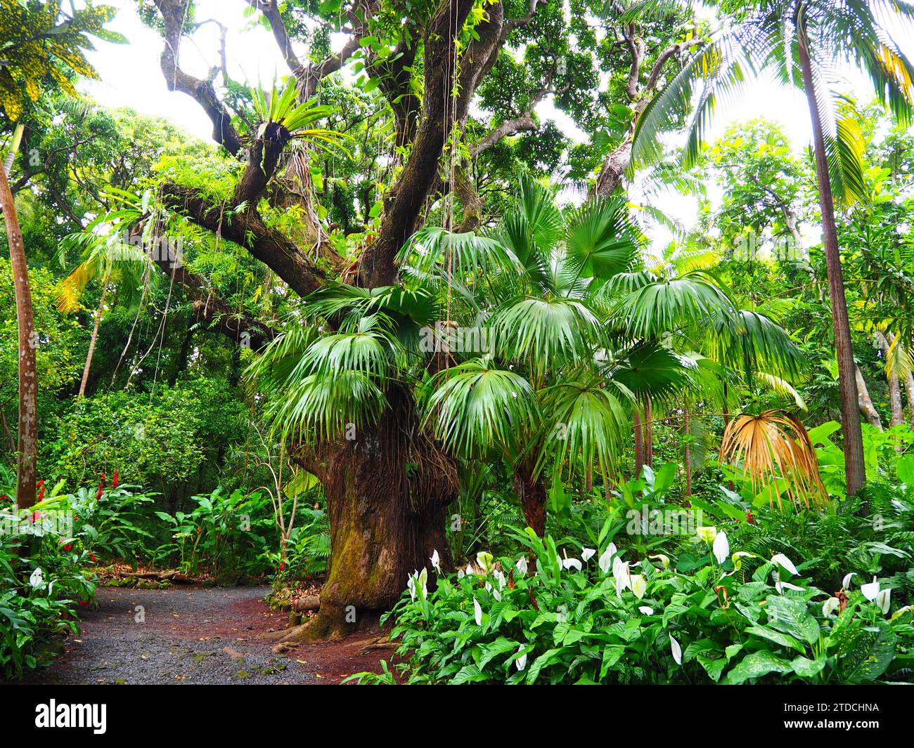 The best of Reunion Island - La Réunion, Mascarene Islands, Indian ...