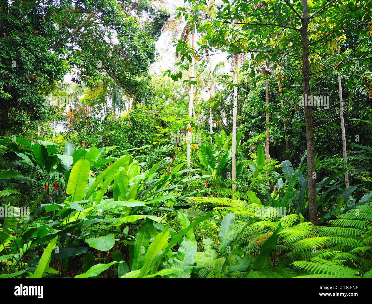 The best of Reunion Island - La Réunion, Mascarene Islands, Indian ...
