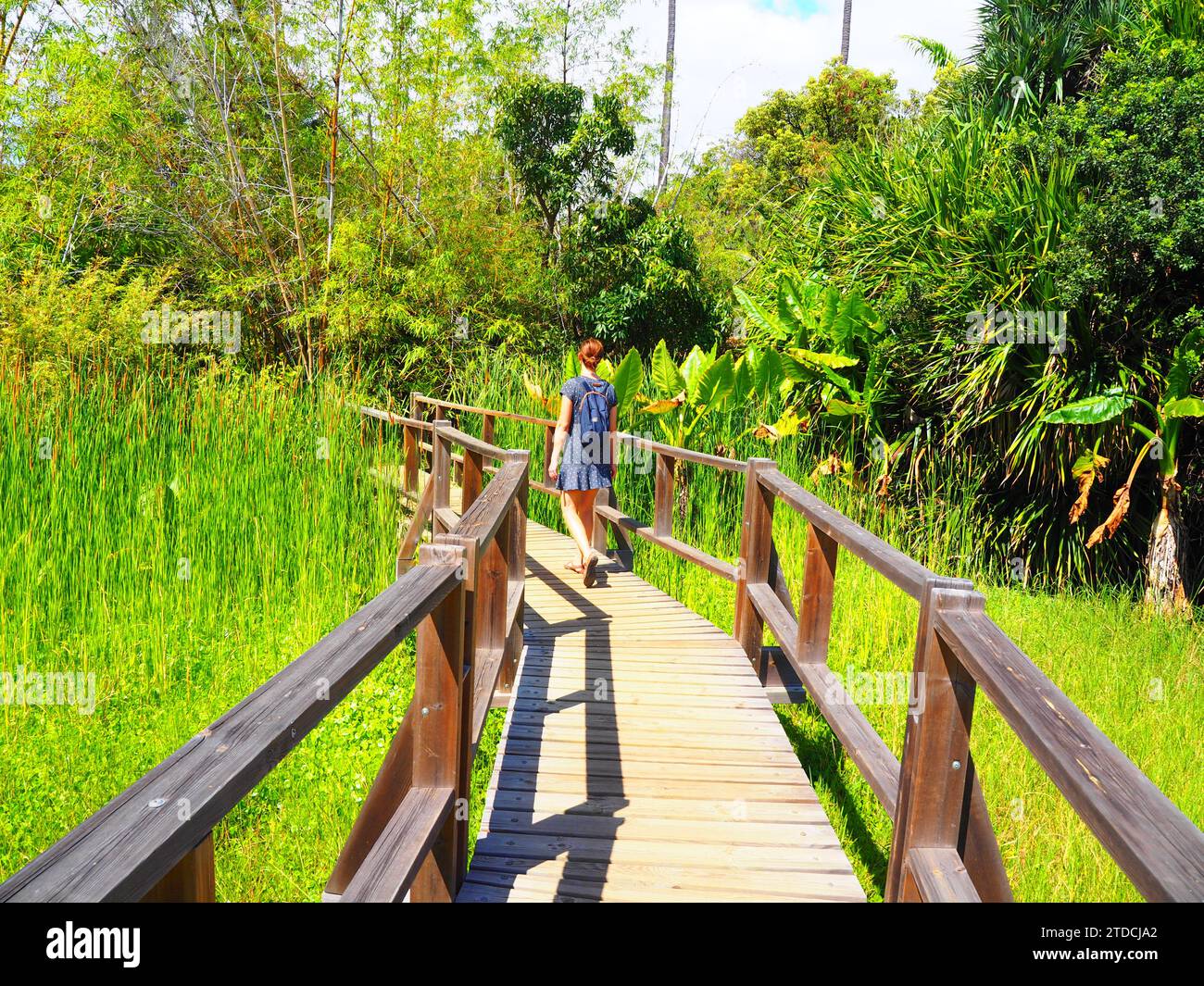 The best of Reunion Island - La Réunion, Mascarene Islands, Indian ...