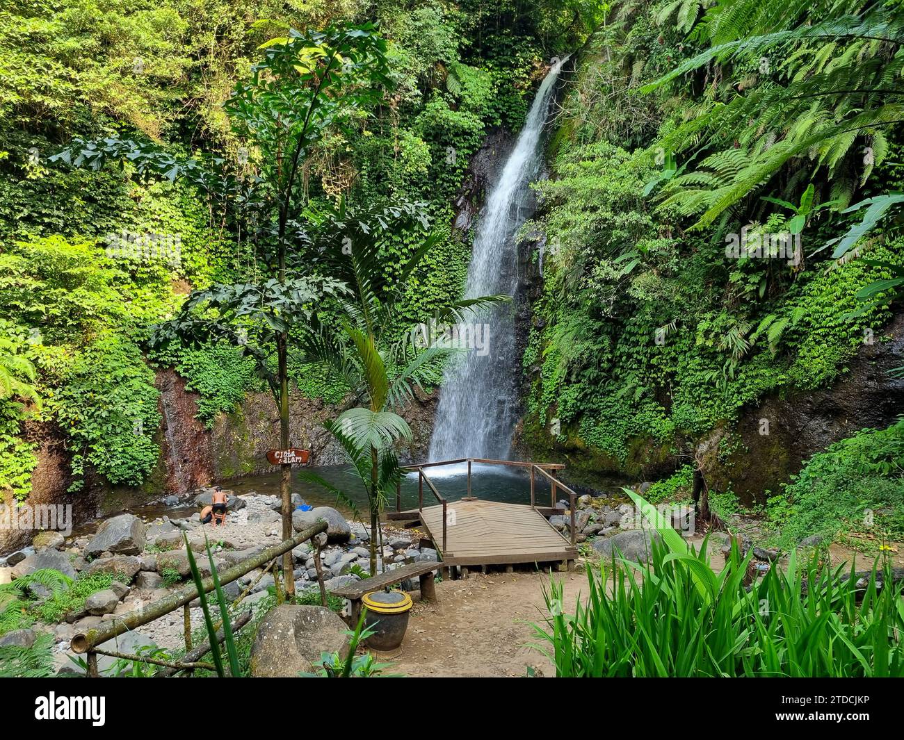 Regency forest hi-res stock photography and images - Alamy