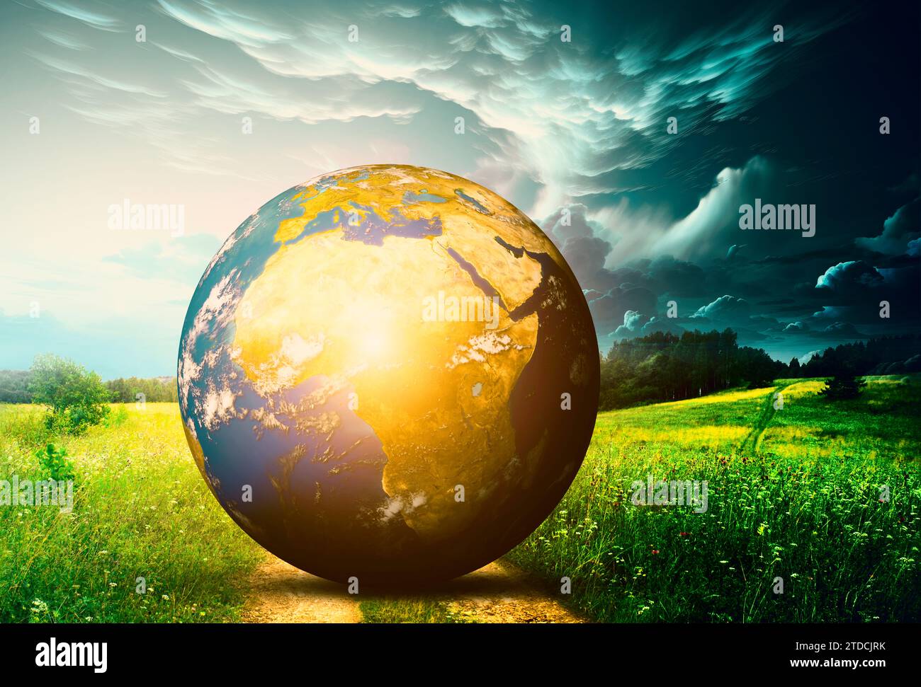 Earth on the soil in the forest with ferns, sunlight and blue sky ...