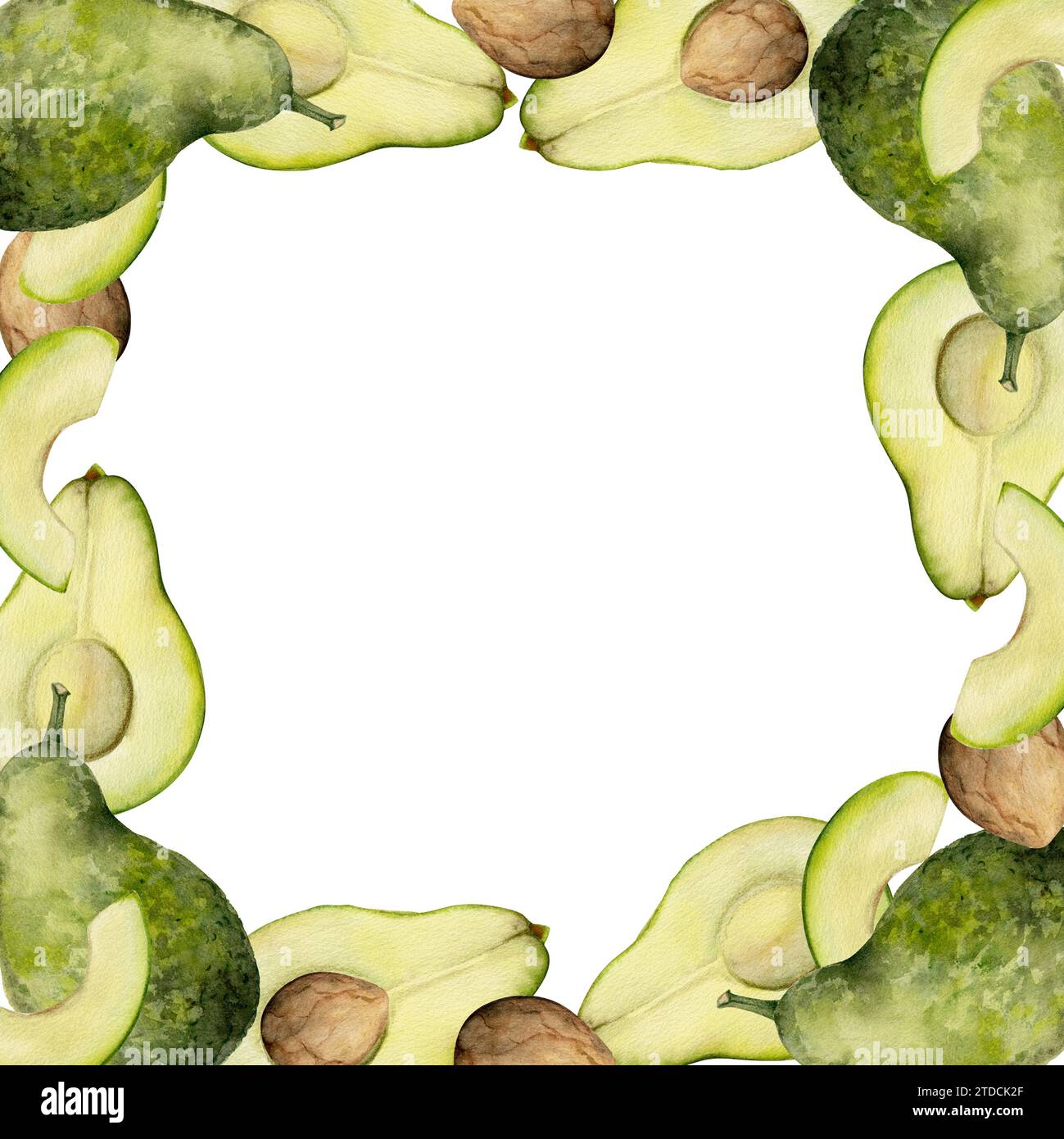 Hand drawn watercolor green avocado vegetable for diet and healthy ...