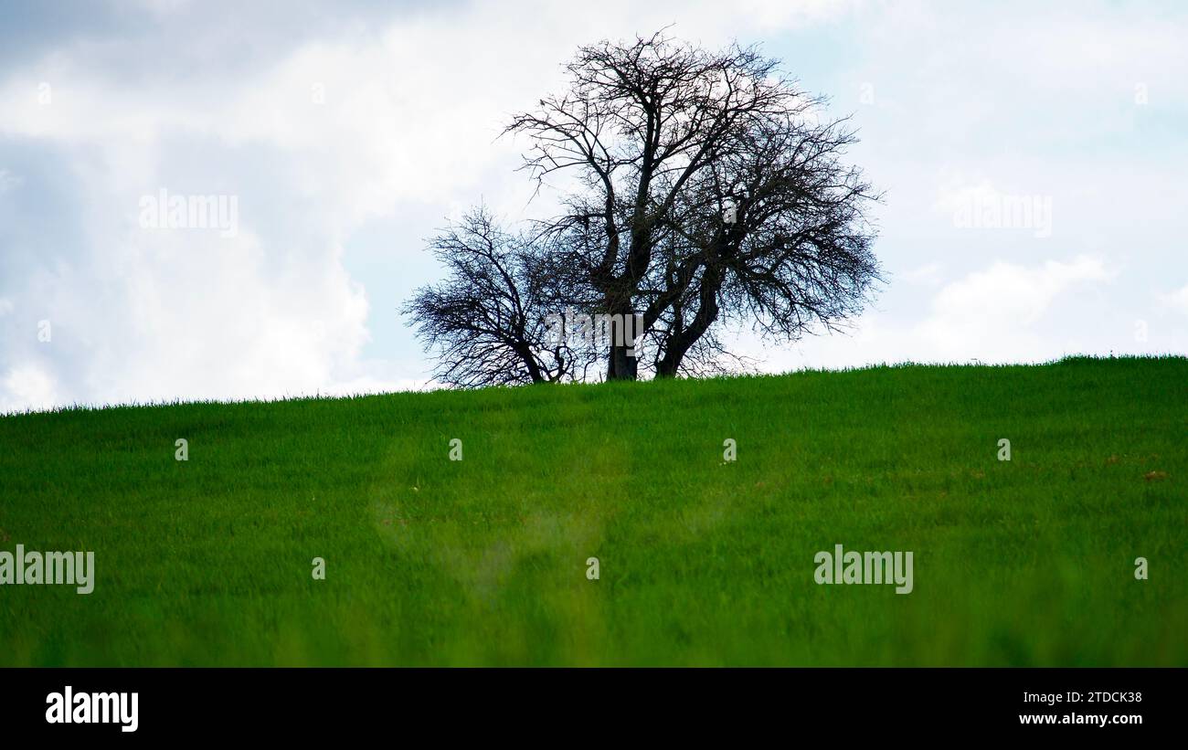 Harmony of colors in nature. Green fields, plowed land and cloudy blue ...