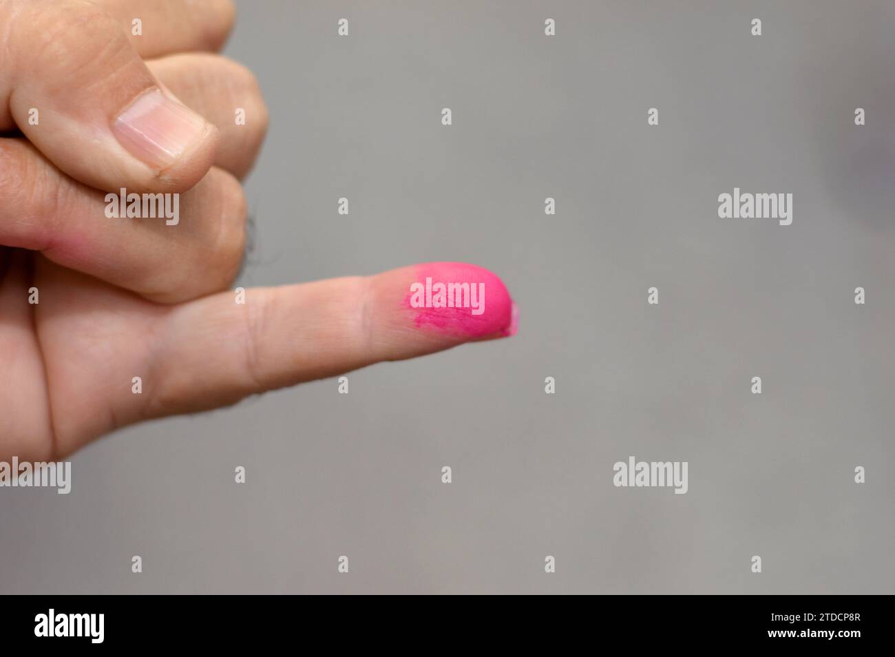 Presidential elections 2024 hi-res stock photography and images - Alamy