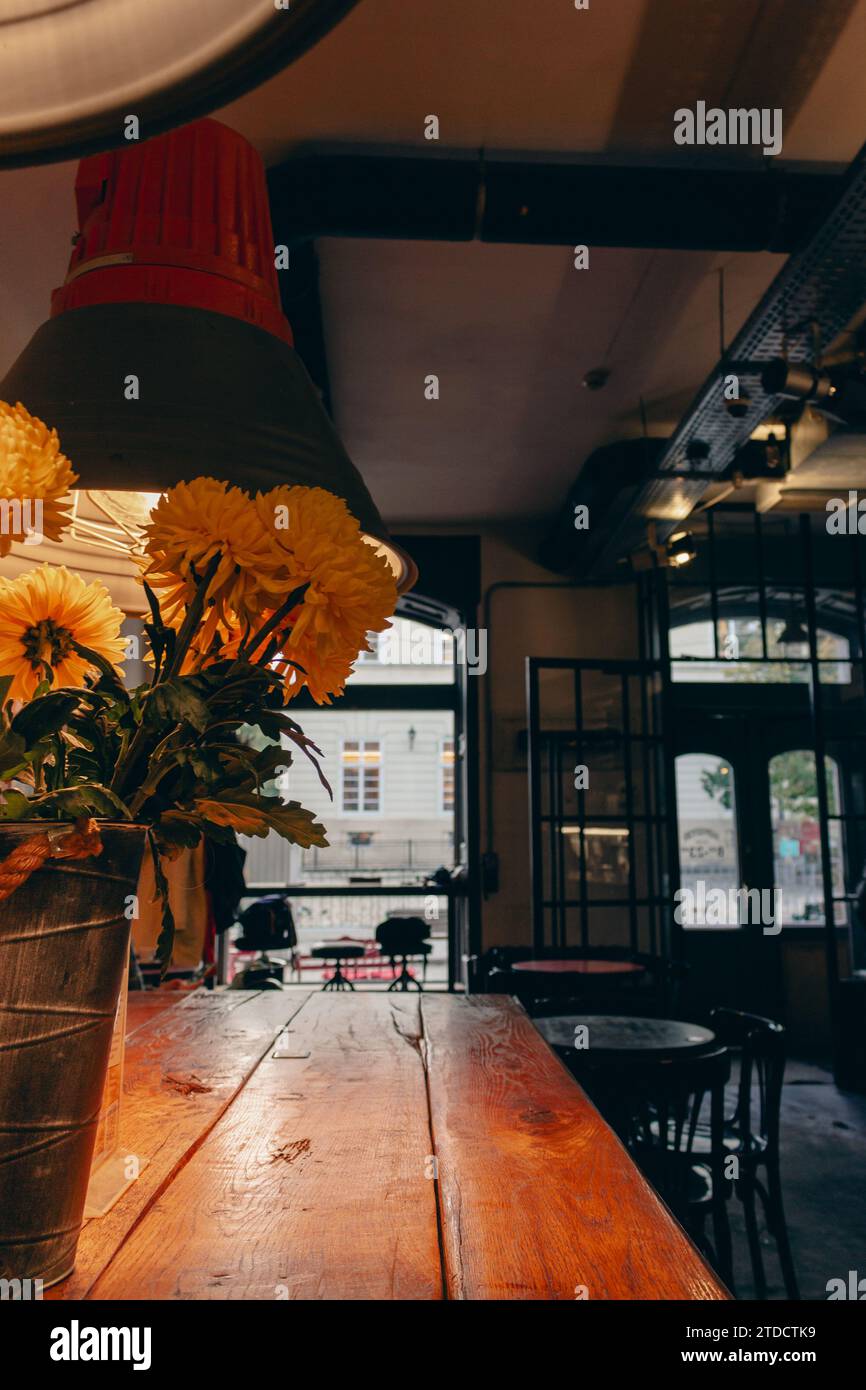 Cafe in loft style. Modern cafe design. Empty cafe with big windows and ...