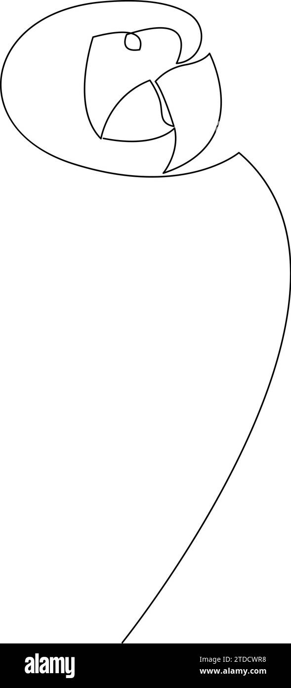 Parrot drawing hi-res stock photography and images - Alamy