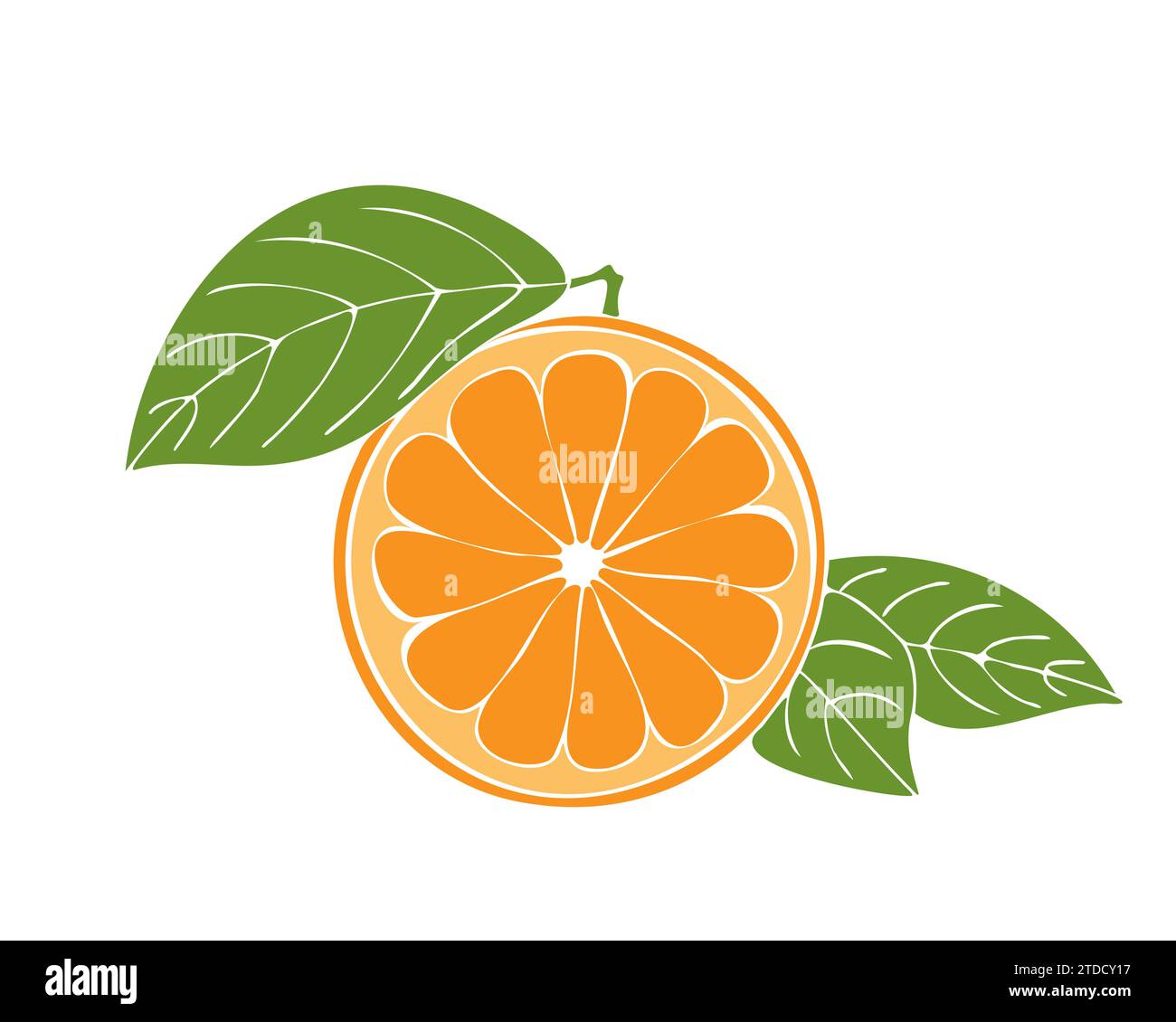 Orange half, hand drawn fruit with leaves, isolated on white background ...