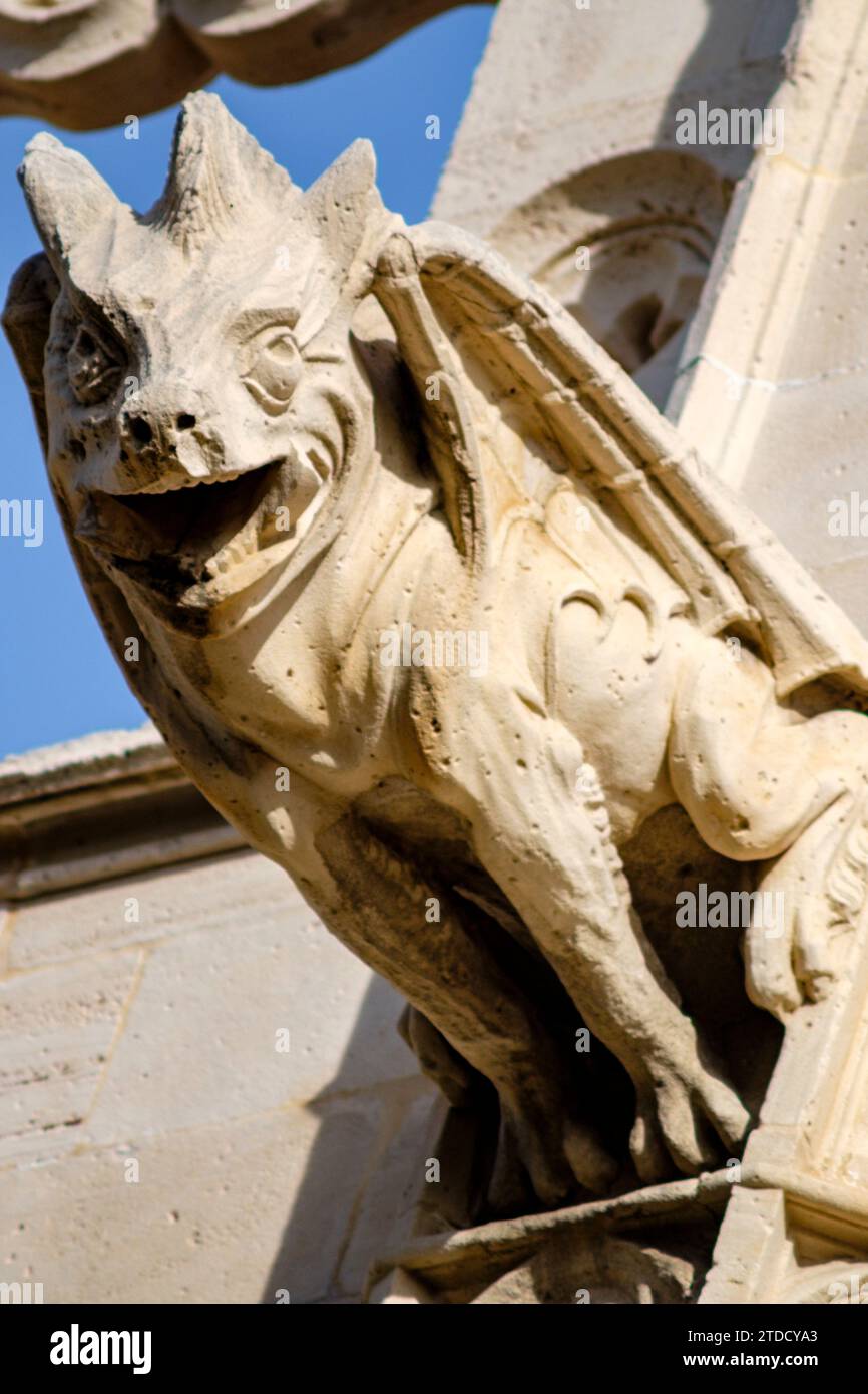 gargola en forma de dragon, Lonja de Palma de Mallorca , Sa Llotja ...