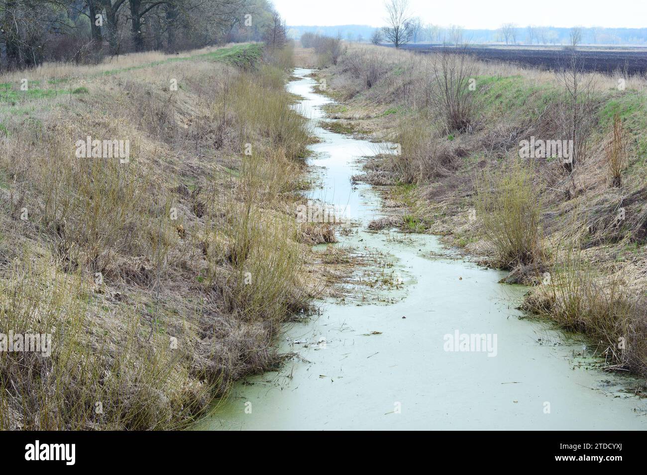 A dried-up riverbed, steam bed in early spring Stock Photo - Alamy