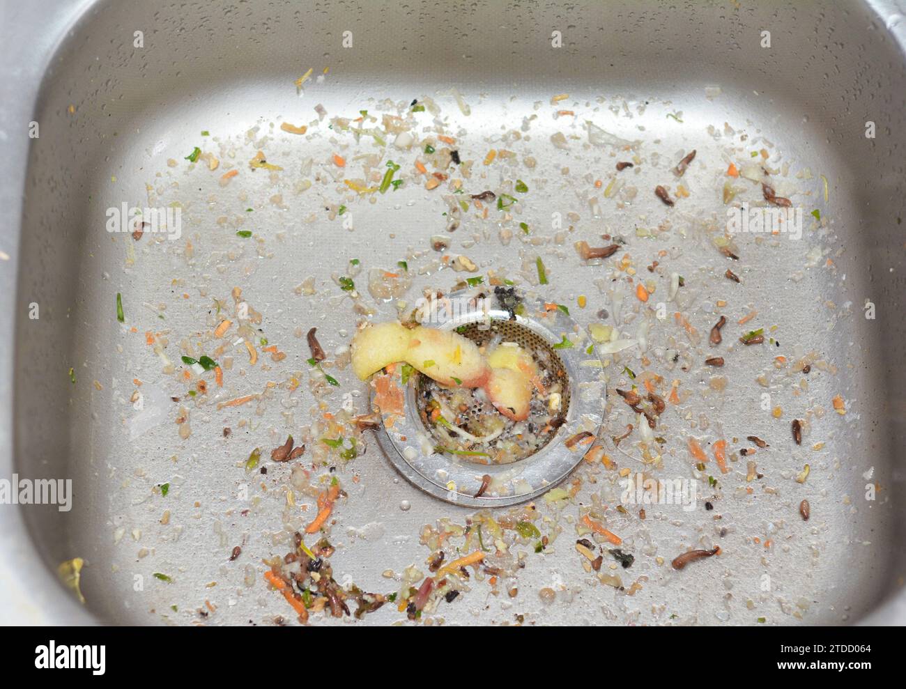 Close up on dirty and smelly stainless steel kitchen sink Stock Photo ...