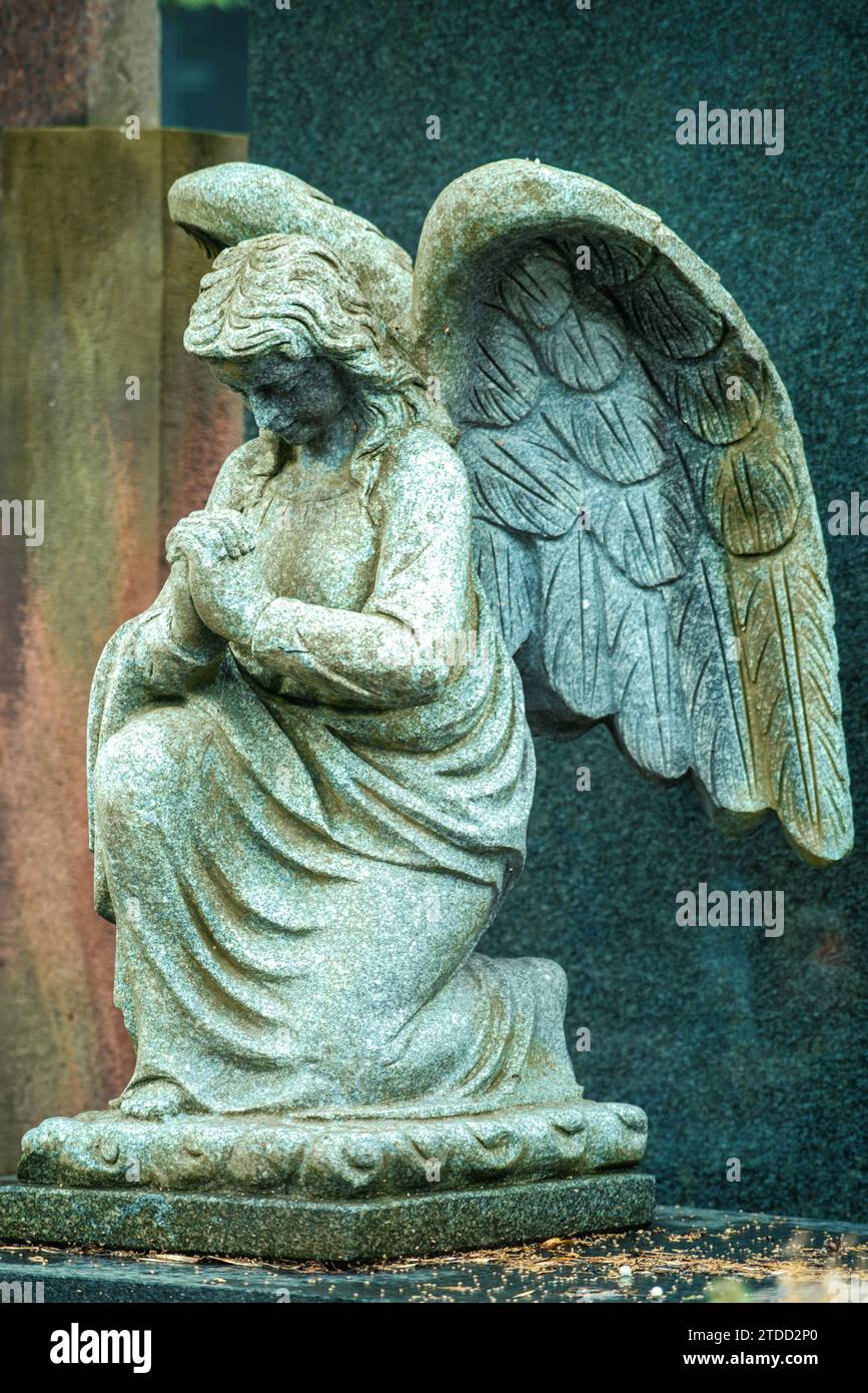 Poland, Warsaw: Statue of an angel at the Powazki Cemetery, the oldest ...