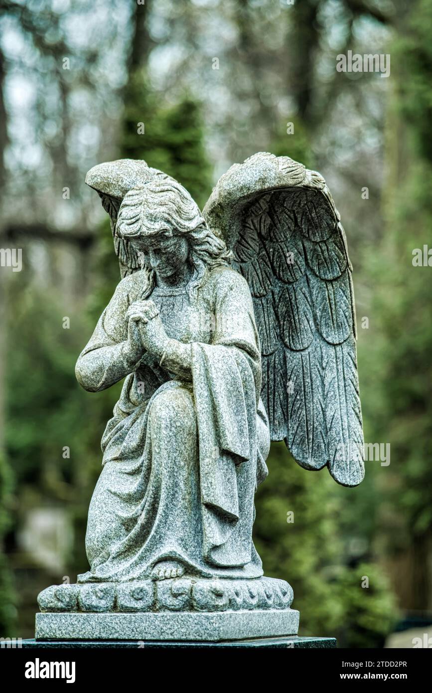 Poland, Warsaw: Statue of an angel at the Powazki Cemetery, the oldest ...