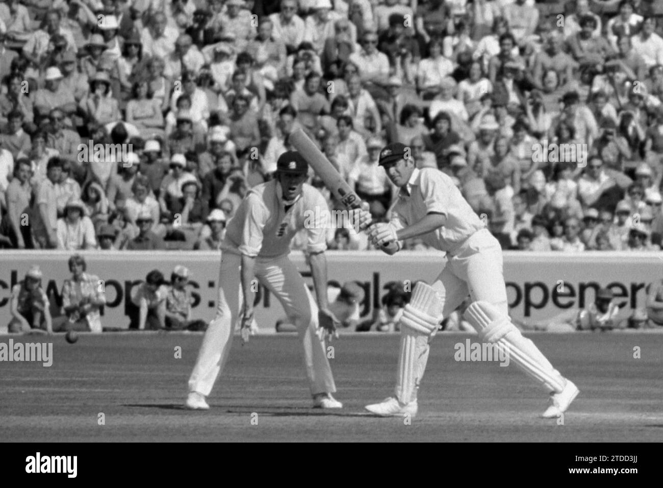 Cricket fielder Black and White Stock Photos & Images - Alamy